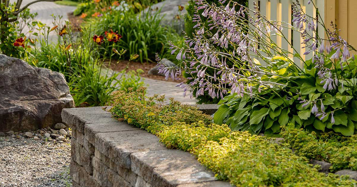 Planting Service | Professional Plant Instalation Services